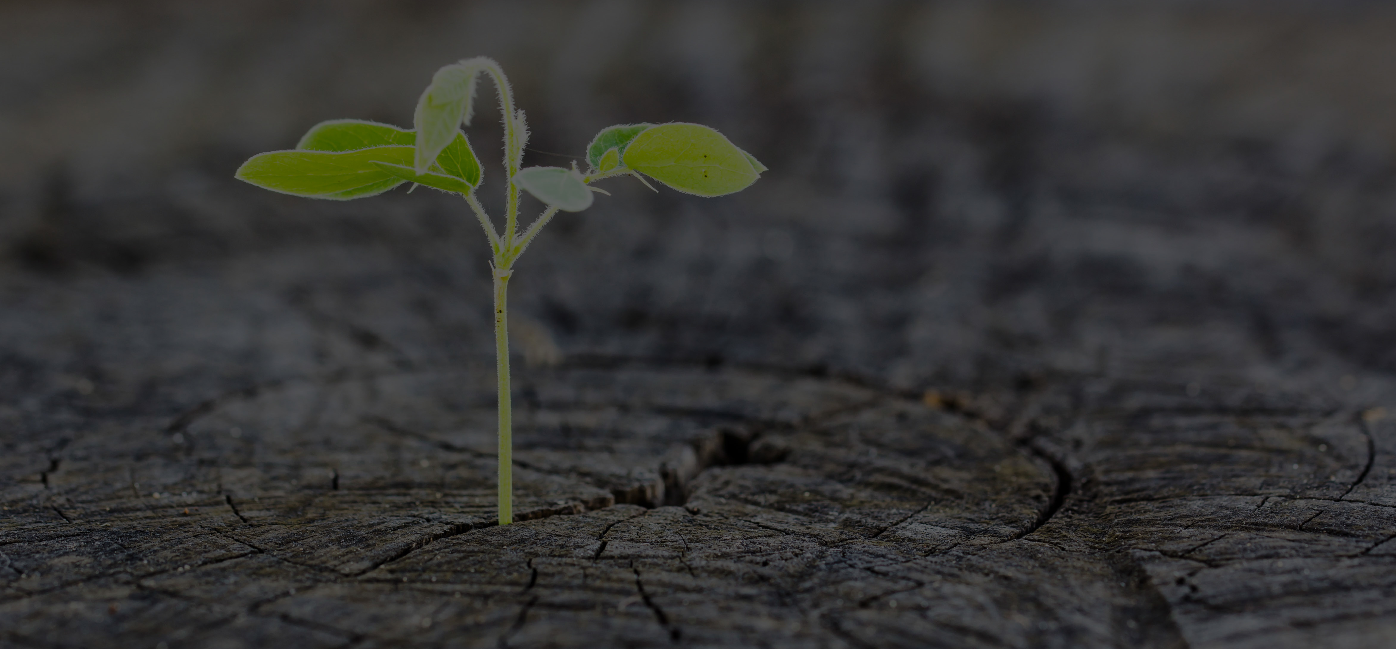 FUTUREhope – Hertford and Ware – empowering young people to have hope ...